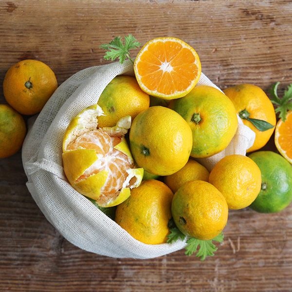 제주직송 하우스감귤 2kg S-2S | 지름알림